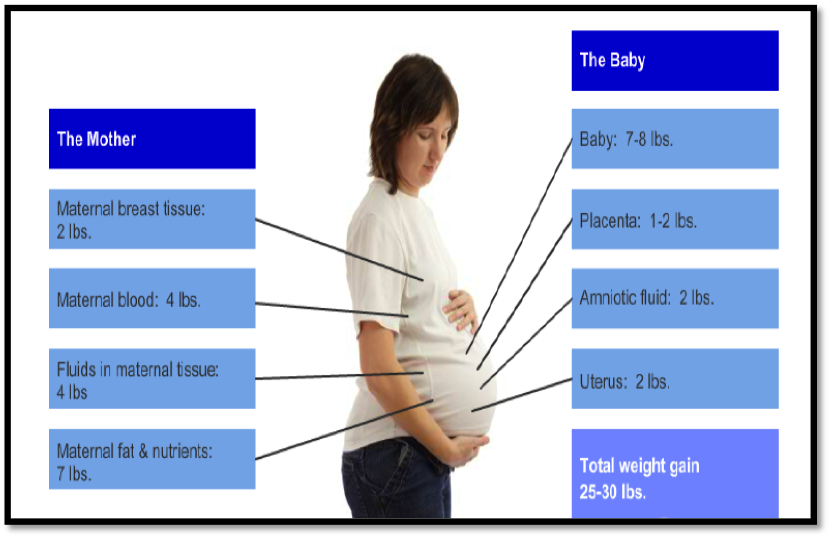 Eating For Two Pregnancy And Calories eating-for-two-pregnancy-and-calories